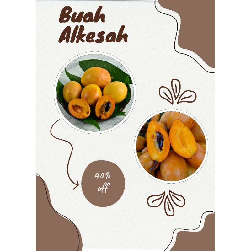 Jual buah alkesah kemasan 10 kg harga grosir | Shopee Indonesia