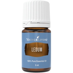 Jual LEDUM 5 ML | Shopee Indonesia