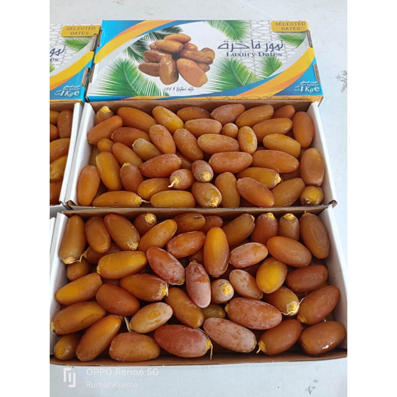 Jual Kurma Ruthob Libya | Shopee Indonesia