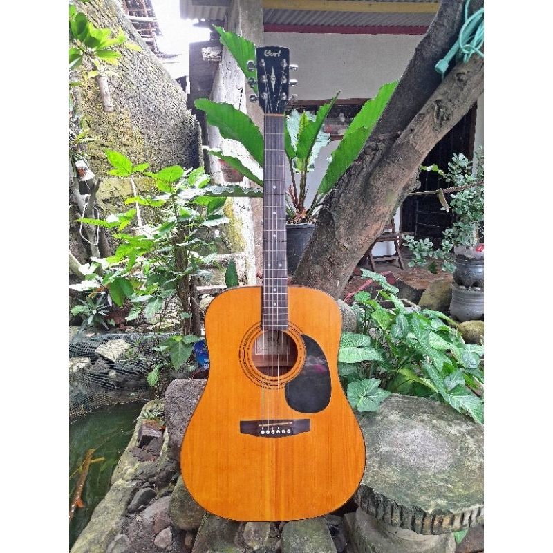 Jual Gitar Cort AD810E NS Original | Shopee Indonesia