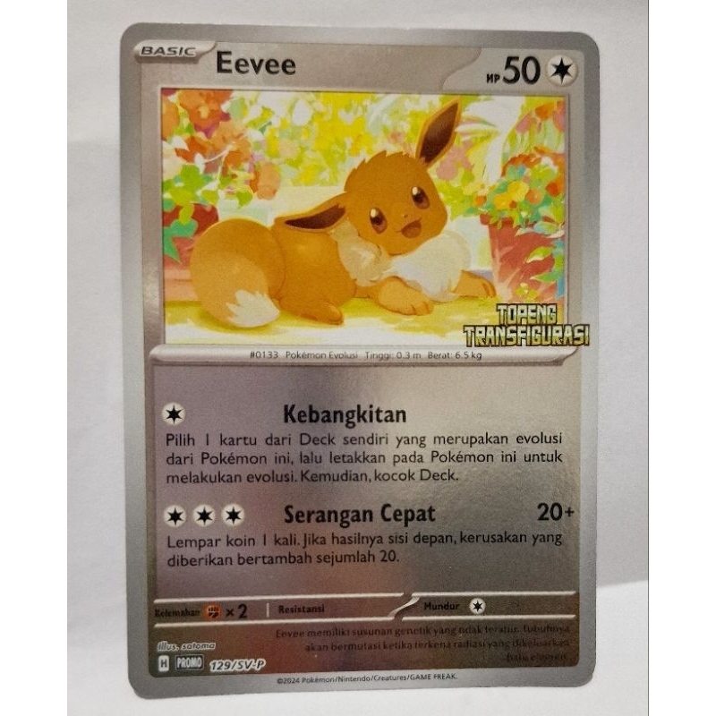 Jual Eevee pokemon card | Shopee Indonesia