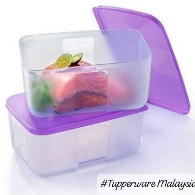 Jual Wadah Freezermate 650ml ori Tupperware | Shopee Indonesia