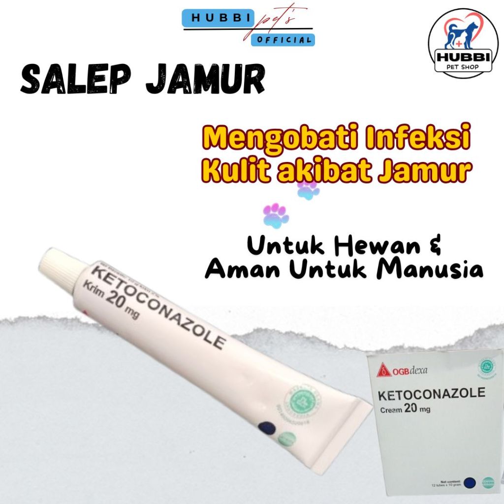 Jual Obat Salep Jamur Kucing Ampuh Salep Luka Jamur Scabies Kucing ...