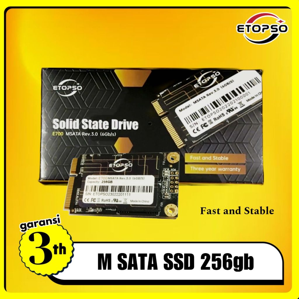 Jual ETOPSO MSATA 256GB RUSAK GANTI BARU | Shopee Indonesia