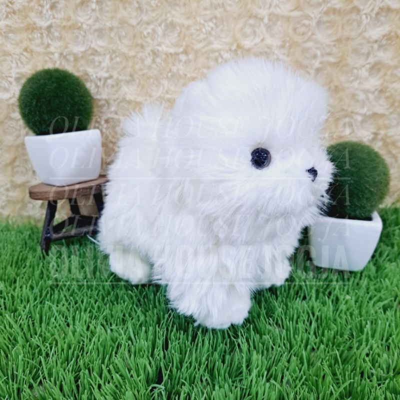 Jual Boneka Anjing Putih Mini Boneka Pomerian Doggy Boneka Puppy Putih ...