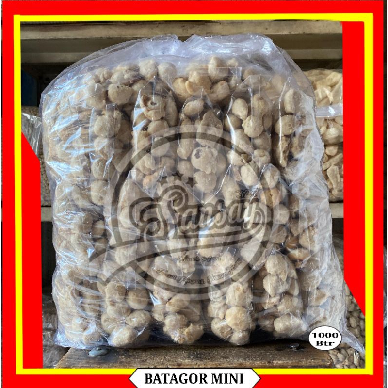 Jual Batagor mini kering rasa ikan tengiri 1ball @1000btr | Shopee ...