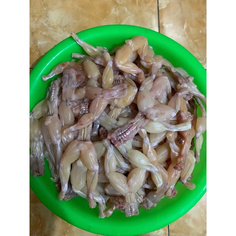 Jual Swike/Daging kodok/Kodok sawah/Frozen | Shopee Indonesia
