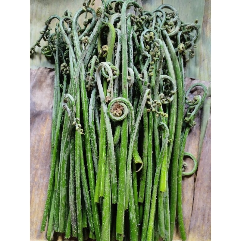 Jual Pakis Sayur Segar Daun Pakis Segar Berat 500 Gram | Shopee Indonesia