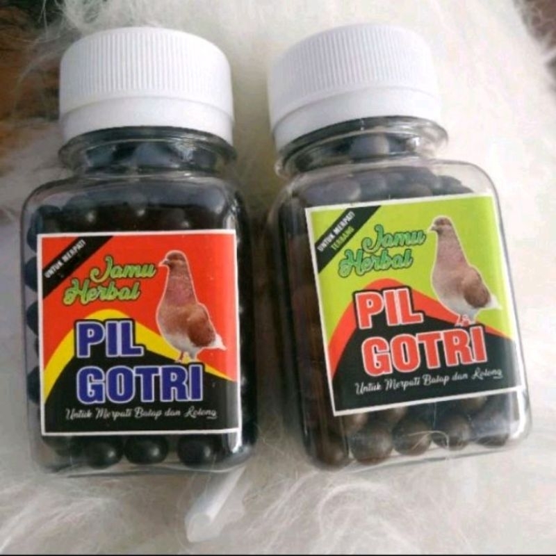 Jual PAKET JAMU MERPATI PIL GOTRI TERBANG 250+NGERAM 250 LEBIH PRAKTIS ...