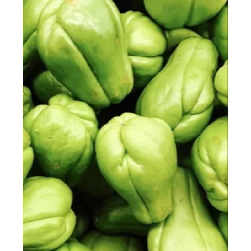 Jual labu siam harga promo harga per kg | Shopee Indonesia