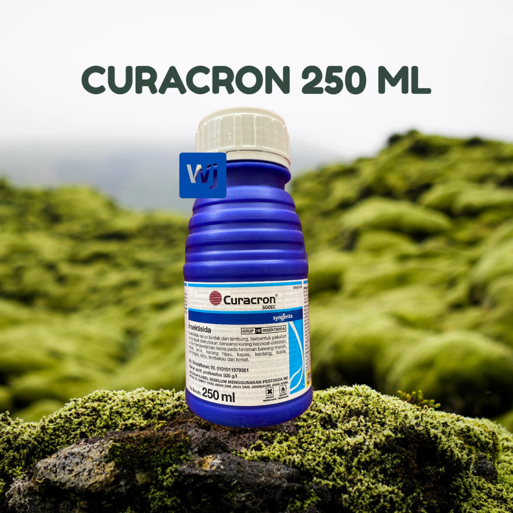 Jual INSEKTISIDA CURACRON 500 EC 250 ML | Shopee Indonesia