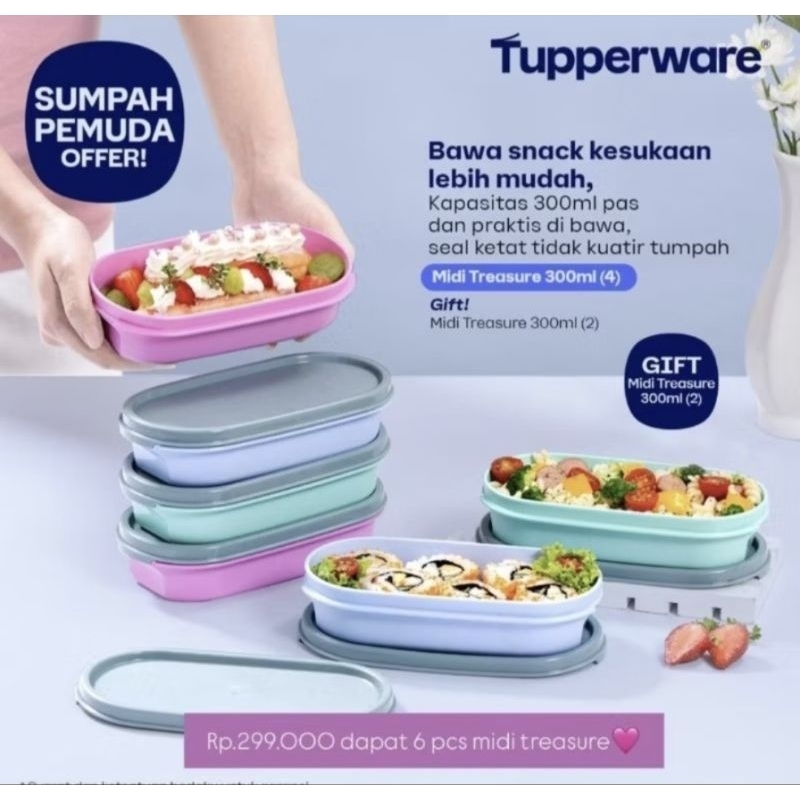 Jual Midi treasure/sandwich keeper/Midi Deco Canister Tupperware/petit ...