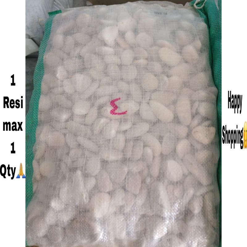 Jual Batu Hias Koral Putih Kupang Batu Taman Koral Putih Dekorasi Taman ...