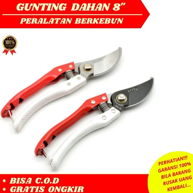 Jual Gunting Dahan | Gunting Pemotong Ranting Bonsai Rumput Tanaman Daun Stek Peralatan Kebun ...