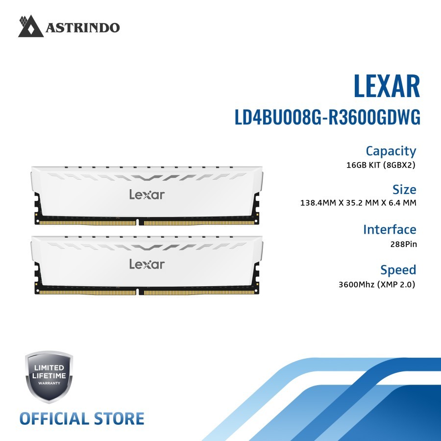 Jual Lexar Memory Thor DDR4 3600MHz RAM 16GB Kit ( 2 x 8GB ) UDIMM ...