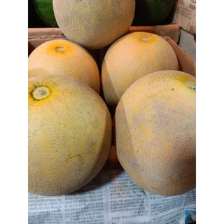 Jual Melon 1 Kg Terlengkap & Harga Terbaru Maret 2025 | Shopee Indonesia