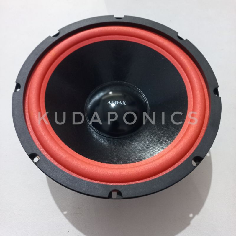Jual Speaker Woofer AUDAX 10 inch 8 ohm 175 Watt AX-10250 W8 MKII / JORDAN 6 Inch 8 Ohm 150 Watt ...