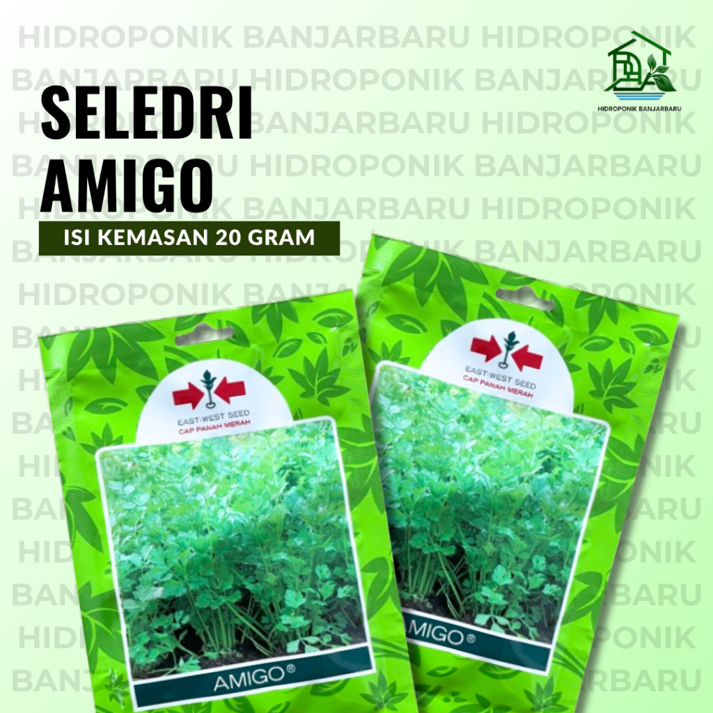 Jual BENIH DAUN SOP SELEDRI AMIGO PANAH MERAH ISI 20 GRAM | Shopee ...