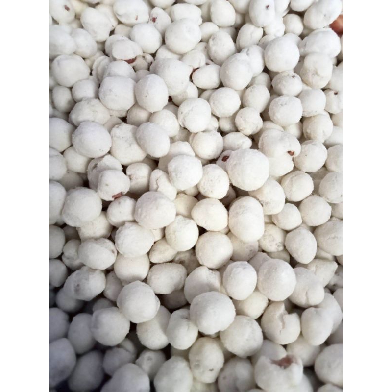 Jual sukro putih kacang atom kemasan 500g | Shopee Indonesia