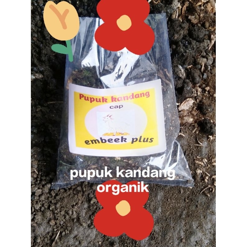 Jual pupuk kandang kohe kambing plus humus daun bambu siap pakai ...
