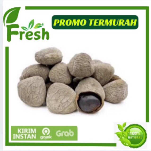 Jual kluwek/1 kg/kluwak murahhh/kepayang | Shopee Indonesia