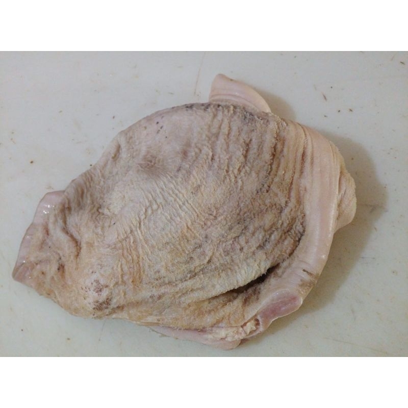 Jual BABAT SAPI PUTIH | Shopee Indonesia