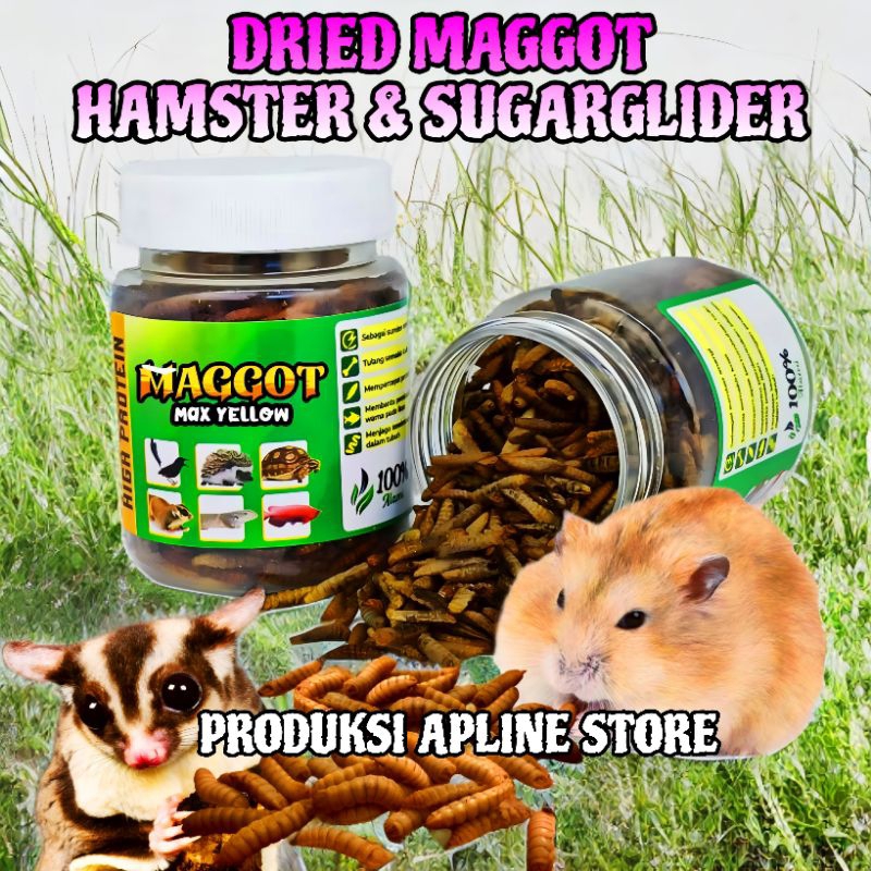 Jual SUPER MAGGOT MAKANAN HAMSTER SUGARGLIDER BURUNG IKAN - Kode4 ...