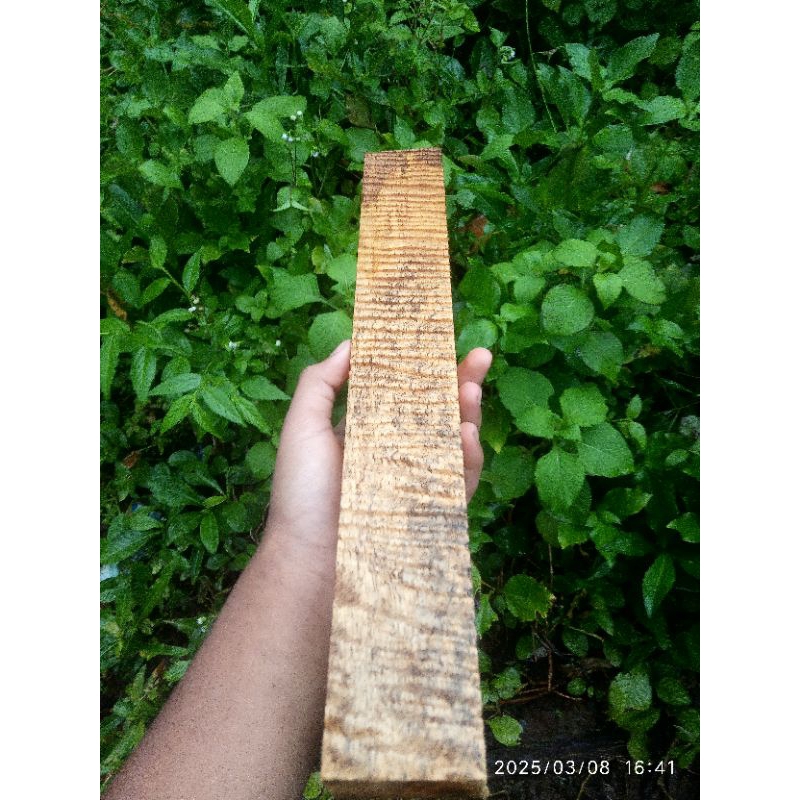 Jual kayu curly mango atau keriting mangga ukuran 35x5x3cm | Shopee ...
