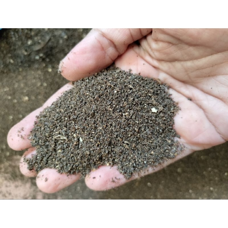 Jual pupuk organik 1kg KASGOT ( BEKAS MAGOT) | Shopee Indonesia