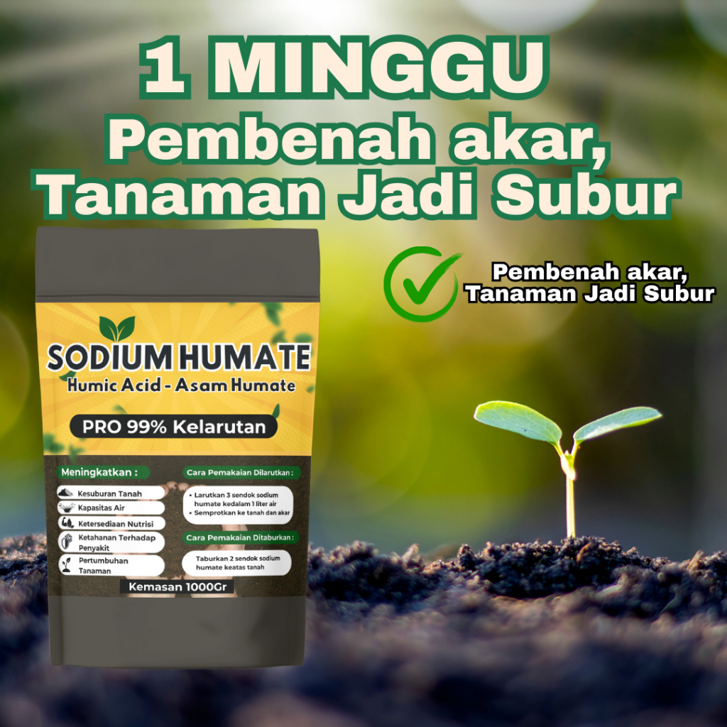 Jual Sodium Humate Pro Larut dalam air Humic Acid 99% By Kimia Solution ...