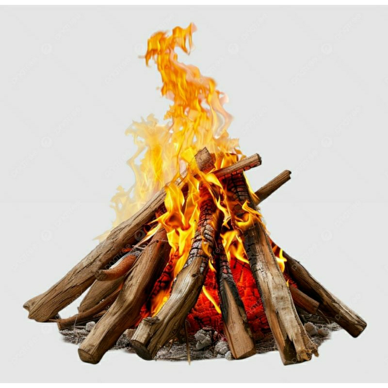 Jual Kayu Bakar Api Unggun 1kg Burning Wood Masak Tungku Anglo ...