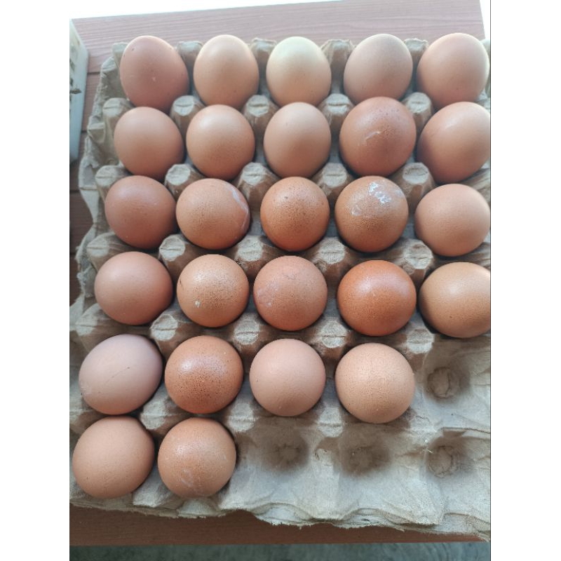 Jual Telur ayam 500 gr | Shopee Indonesia