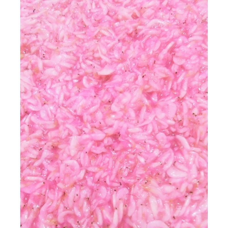 Jual Hakoi/Hekoi/Asinan udang Rebon/Cencalok Pontianak 1kg | Shopee ...