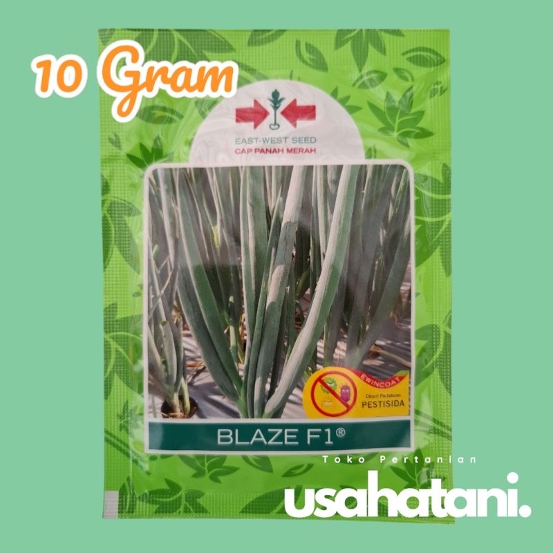 Jual BLAZE F1 10 Gram Benih Daun Bawang Cap Panah Merah | Shopee Indonesia