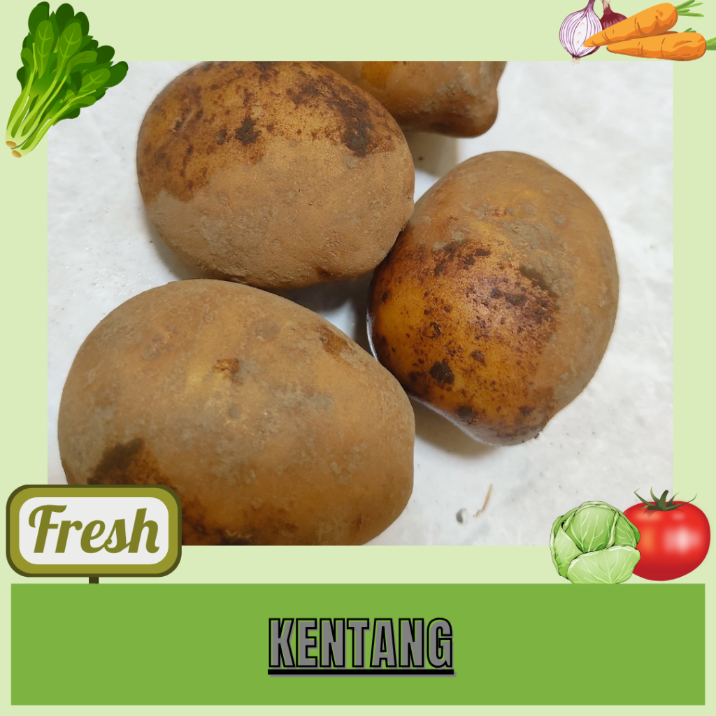 Jual Kentang Ukuran Sedang | Shopee Indonesia
