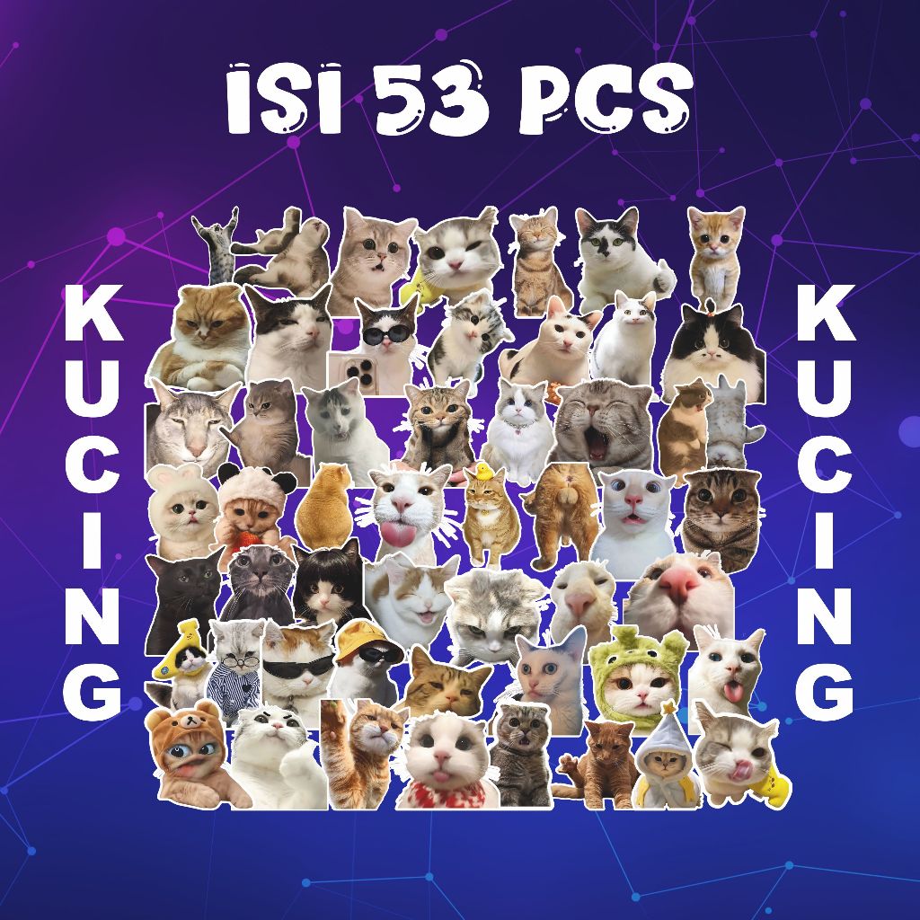 Jual Stiker Pack Meme Kucing Viral (53 PCS) – Premium, Waterproof ...