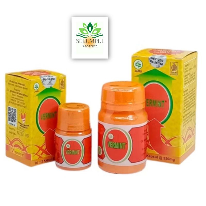 Jual Vermint Isi 12 Kapsul Obat Typhus / Tipus Tipes Obat Demam (SA ...