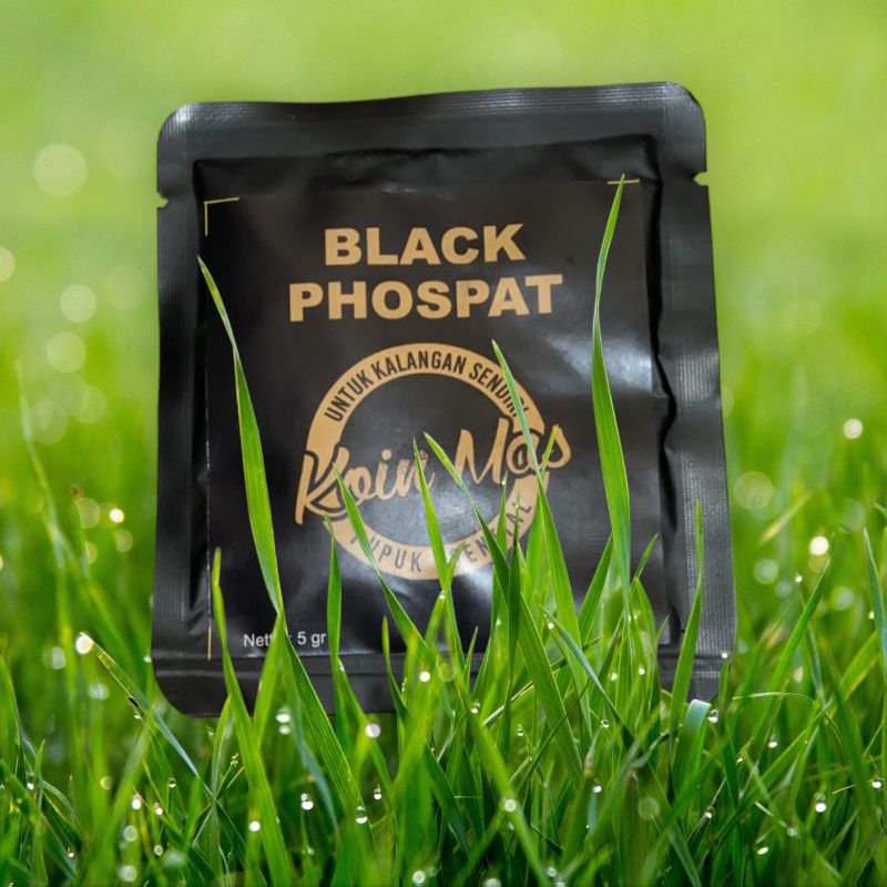 Jual PUPUK PHOSPAT MURNI | Shopee Indonesia