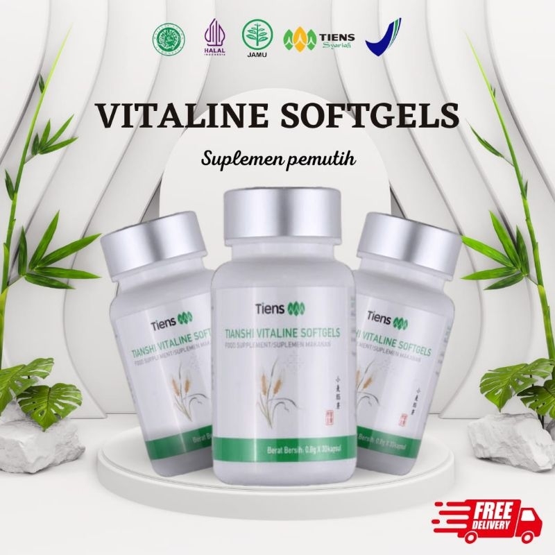 Jual Tiens Vitaline Softgels Original Pemutih Wajah Dan Seluruh Tubuh Herbal | Shopee Indonesia