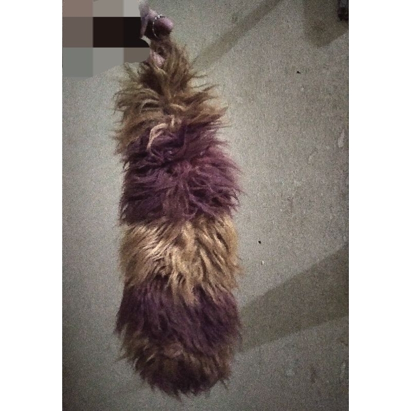 Jual Fluffy Furry Raccoon Tail (Perfect for Furry/Therian!) - Ekor ...