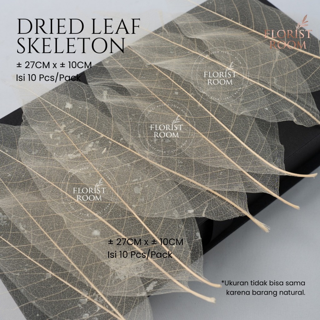 Jual Leaf Skeleton - Daun Hiasan Dekorasi Natural Rustic - Rangkain ...