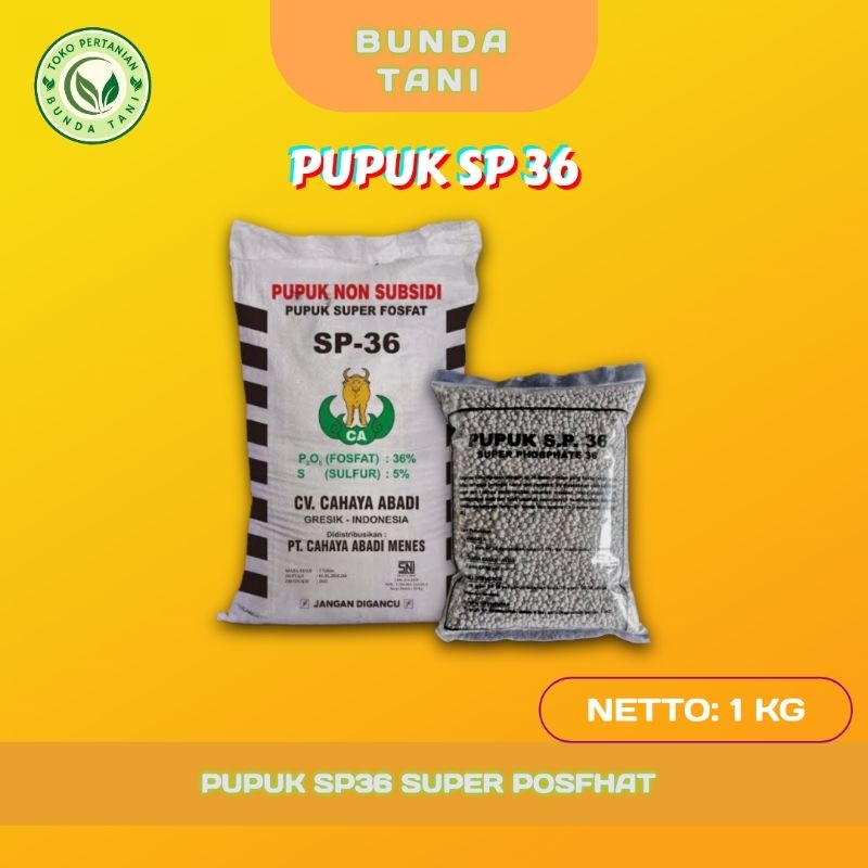 Jual Pupuk SP 36 Super Phosfat Kemasan 1KG | Shopee Indonesia