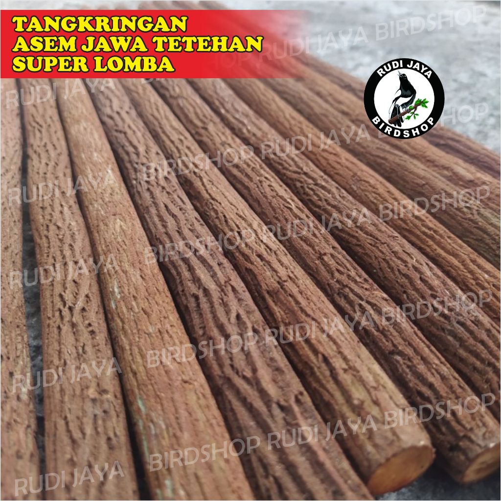 Jual TANGKRINGAN ASEM JAWA TETEHAN SUPER LOMBA UNTUK BURUNG MURAI KACER ...