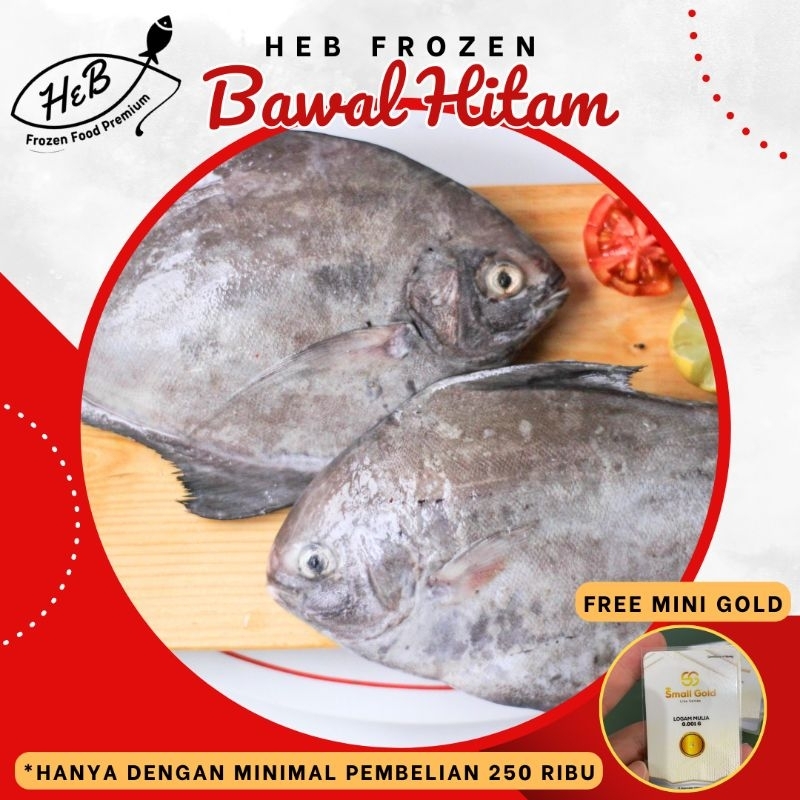 Jual Ikan Bawal Hitam / Bawal Laut Fresh Frozen Beku @500Gram | Shopee ...