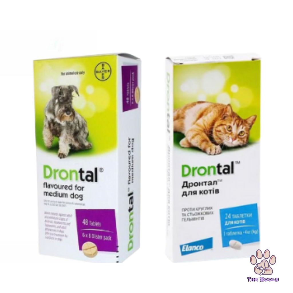 Jual (The Bool's) 1 TABLET Drontal Cat | Drontal Dog | Obat Cacing ...