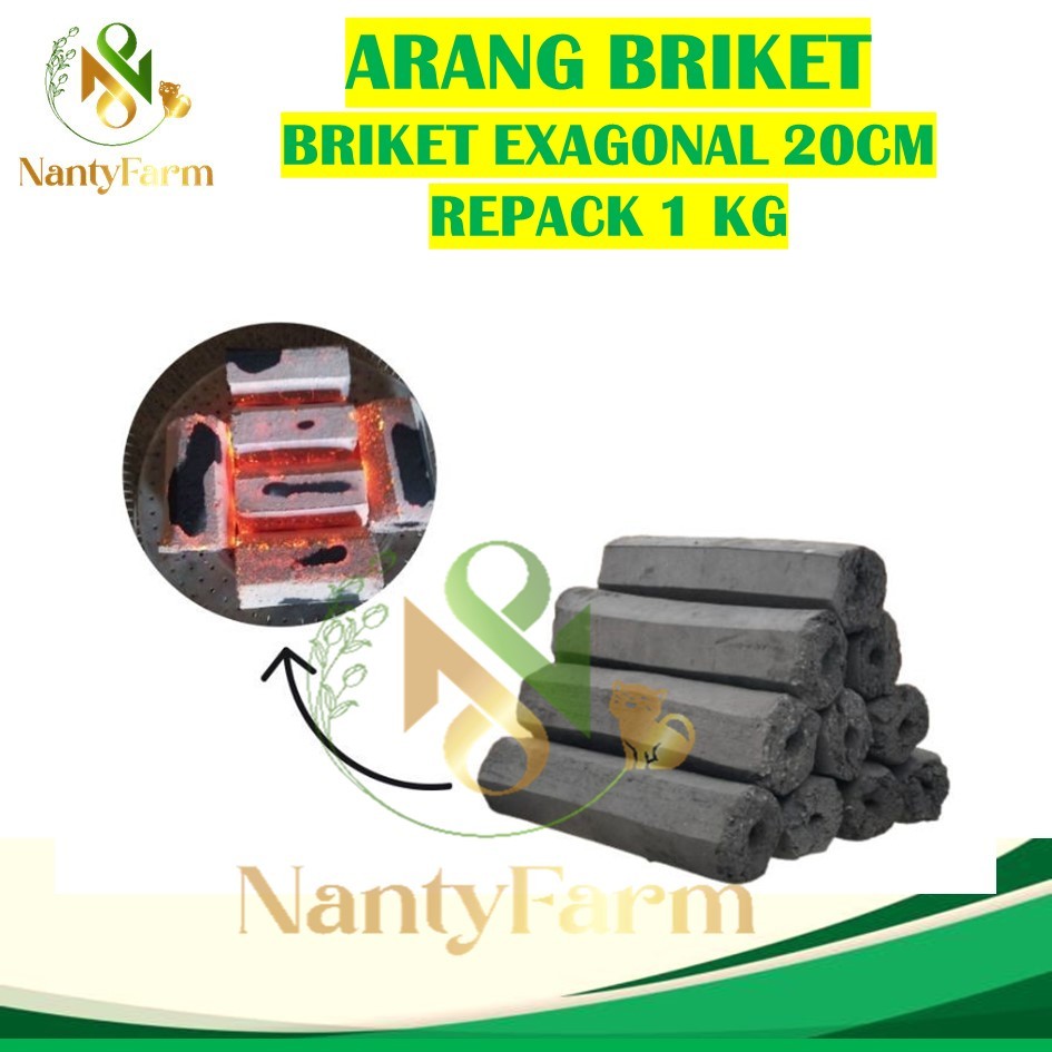 Jual Arang Briket Areng Batok Kelapa 1kg Kubus Hexagonal Tahan Lama ...