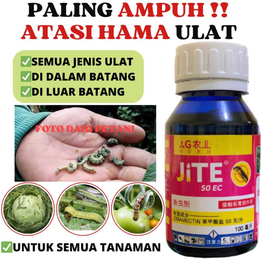 Jual Jite Insektisida Sistemik Pembasmi Hama Ulat Grayak Gurem Ulat ...