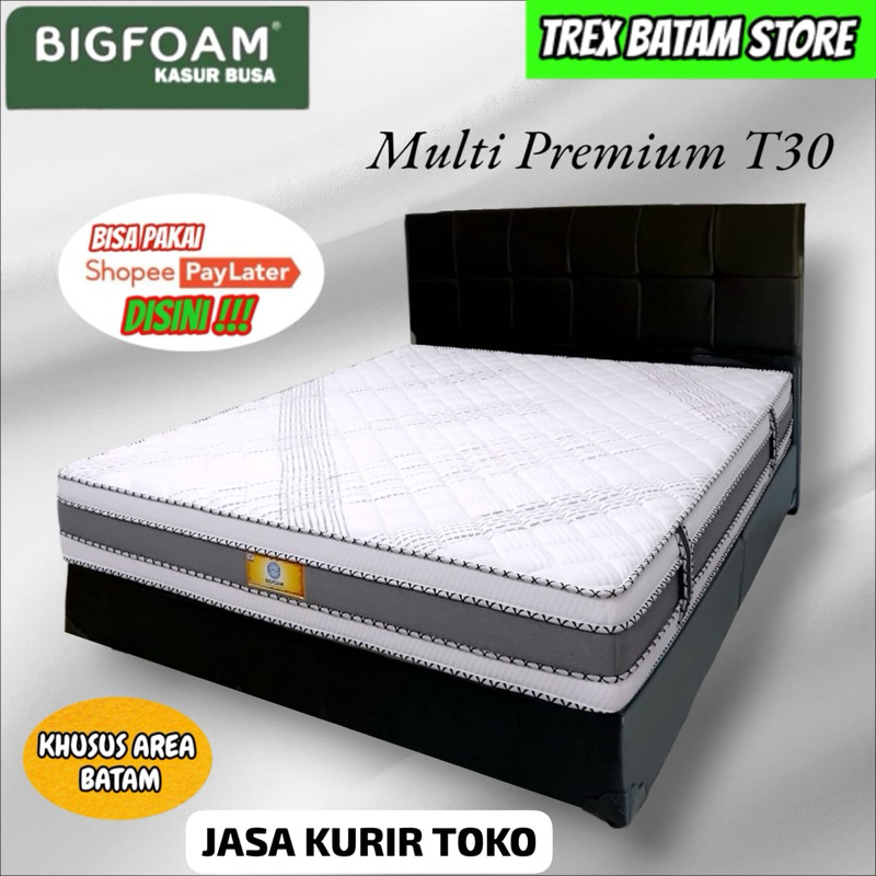 Jual KASUR BUSA BIGFOAM MULTI PREMIUM 1 SET + DIVAN TEBAL 30 CM UK 150 X 190 160 X 200 180 X 200 ...