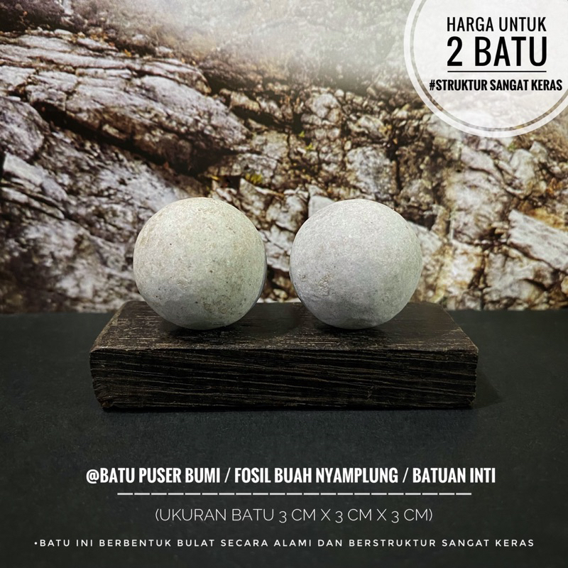 Jual Batu Puser Bumi G1 atau Batu Gono atau Batuan Inti atau Fosil Buah ...