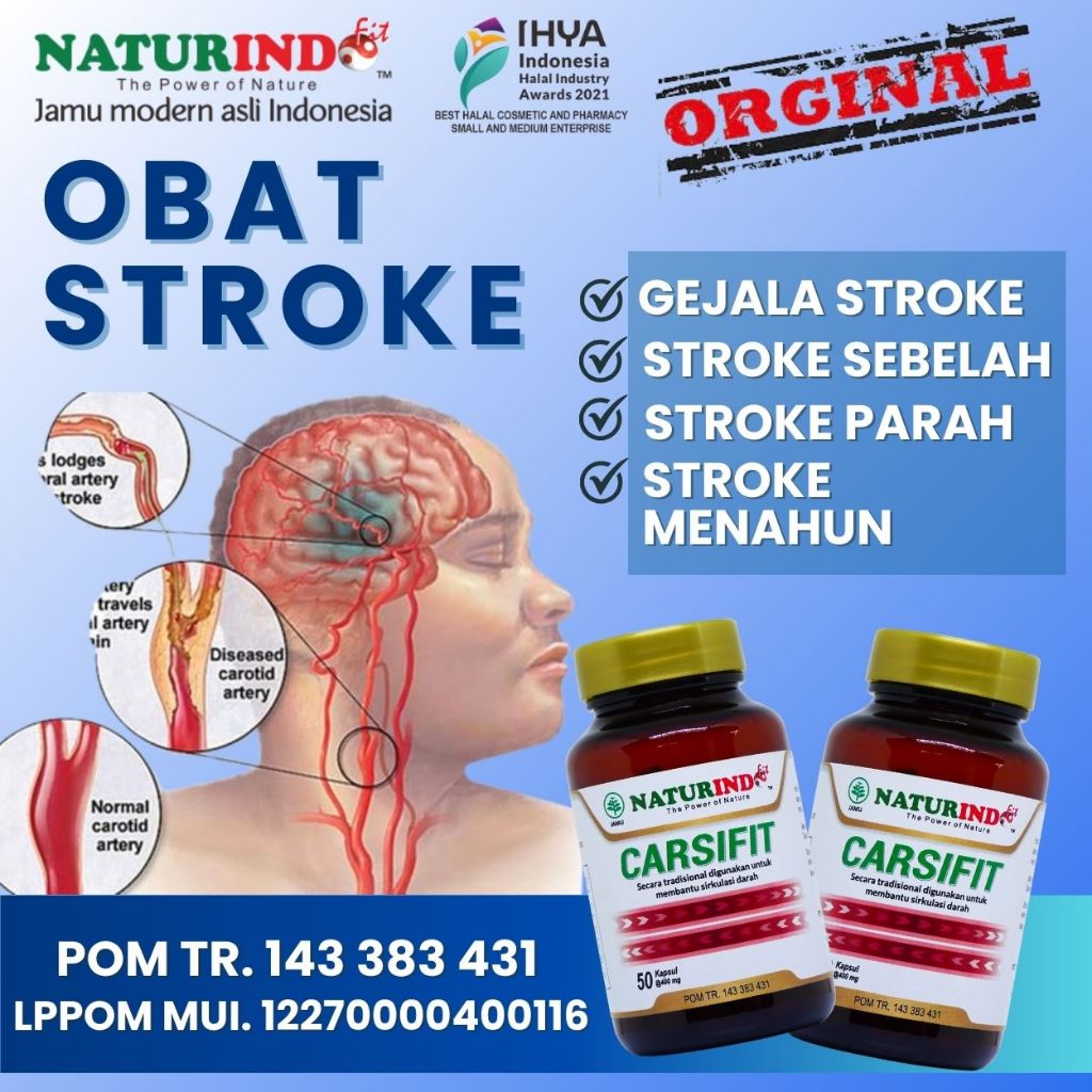 Jual Obat Stroke ringan berat mati sebelah Paling Ampuh Obat Strok ...